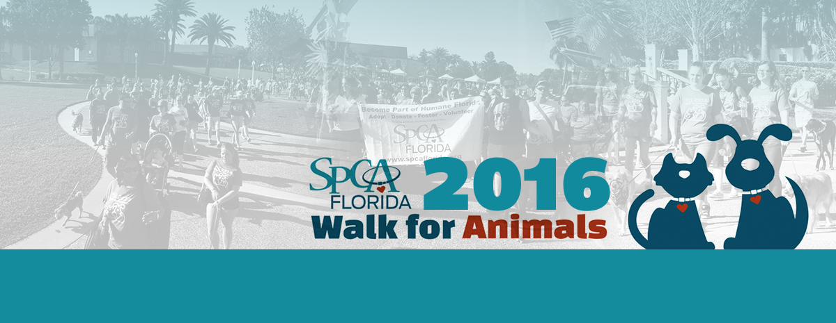 SPCA Florida Walk for Animals 2016
